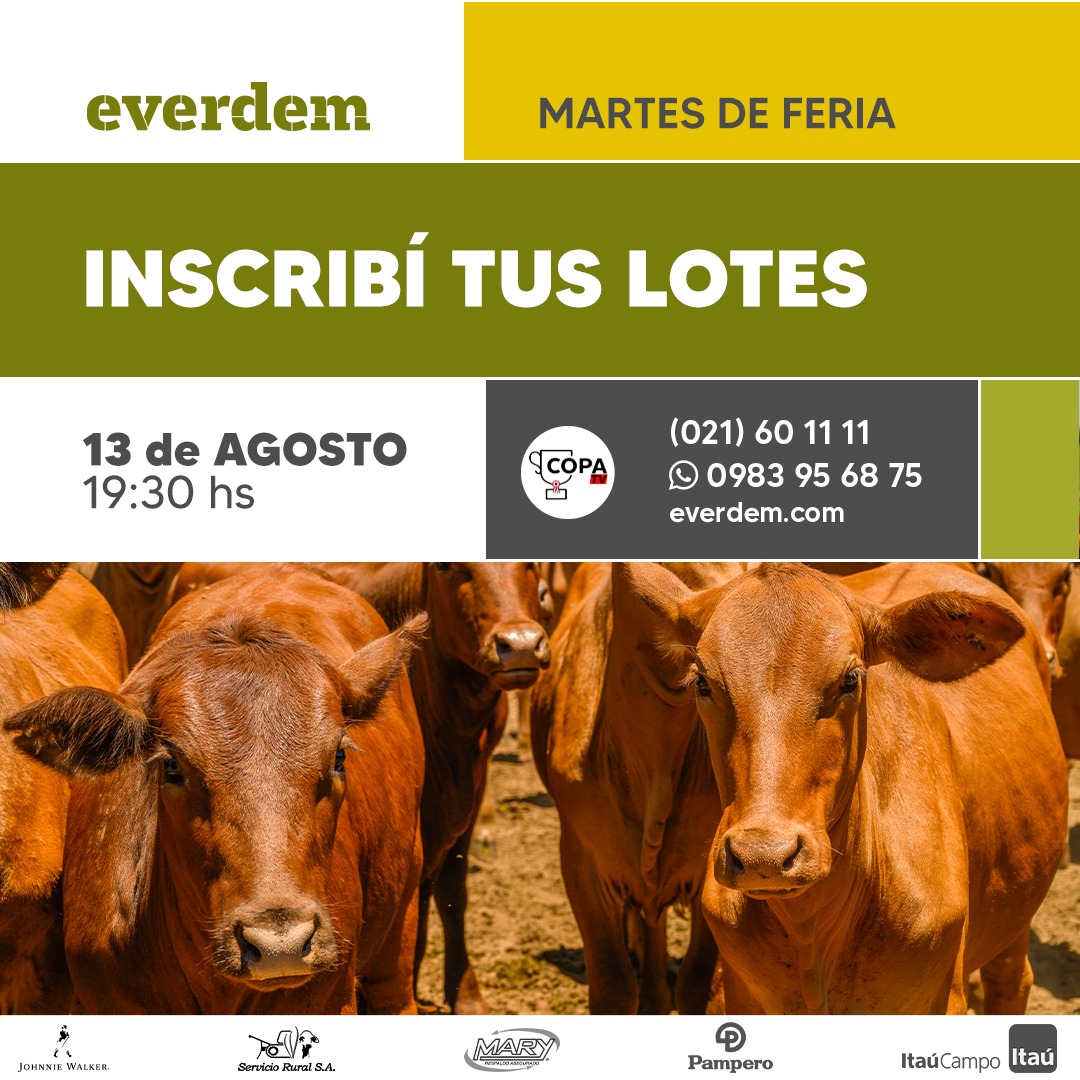 Feria 13 De Agosto